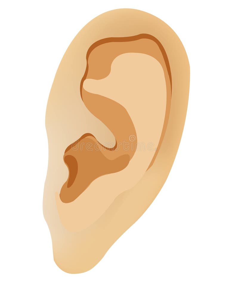 Human Ear Silhouette Stock Illustrations – 3,231 Human Ear Silhouette ...