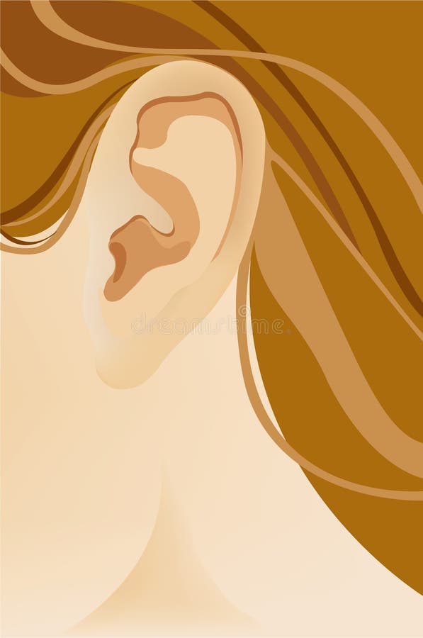 Human Ear stock vector. Illustration of auditory, membrane - 4230917