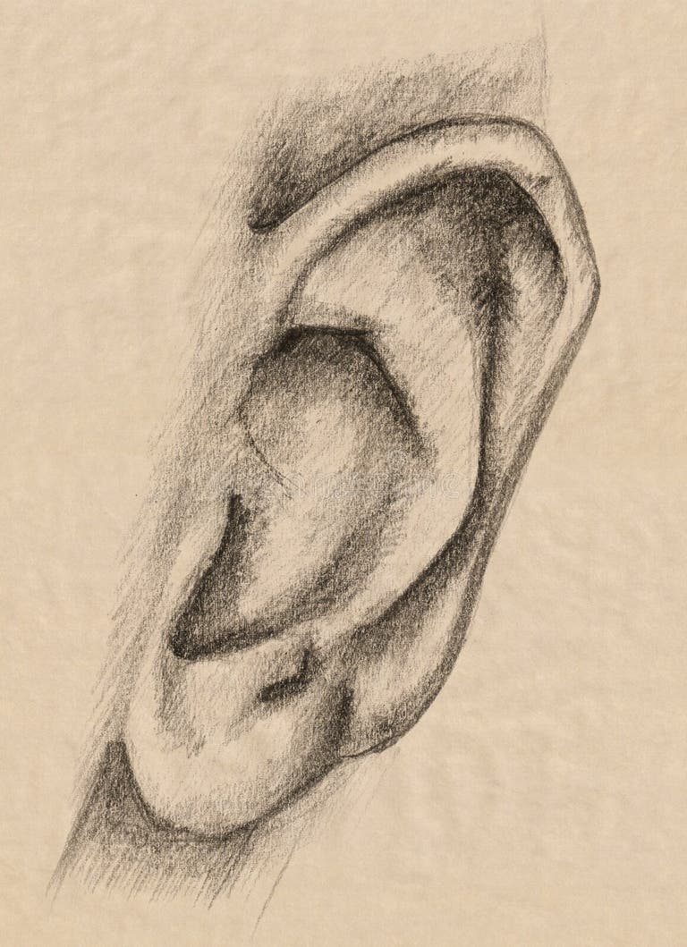 Drawing Human Ear Stock Illustrations – 4,694 Drawing Human Ear Stock ...