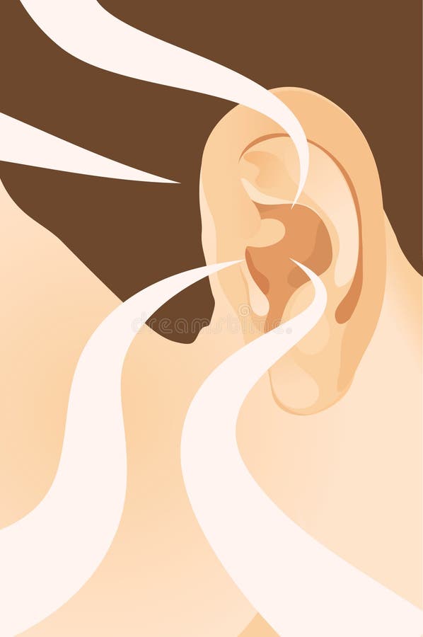 Human Ear stock vector. Illustration of auditory, membrane - 4230917