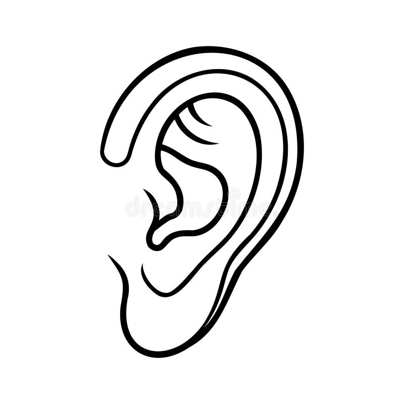 Human Ear Anatomy Line Art Vector Doodle Stock Vector - Illustration of ...