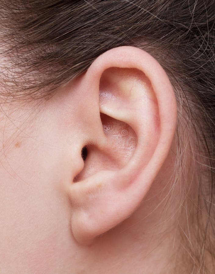 Human ear stock photo. Image of helix, cartilage, communication - 204551692