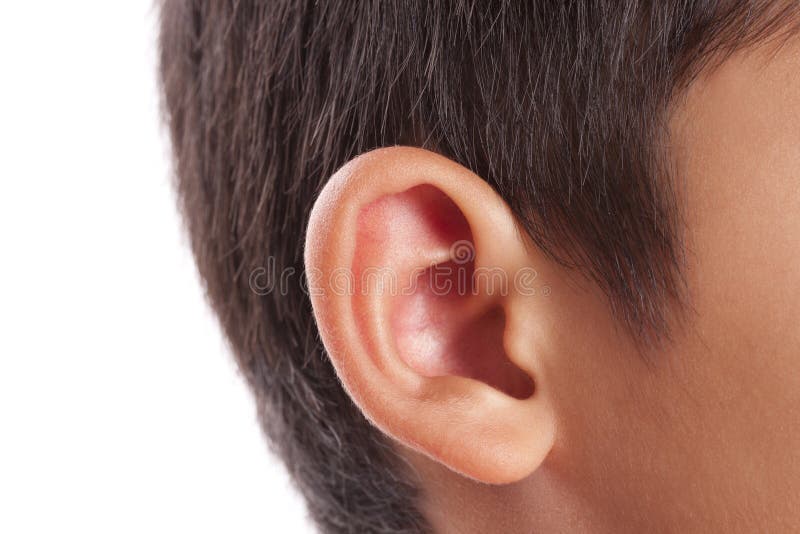 Human ear closeup. stock photo. Image of expression, health - 90329010