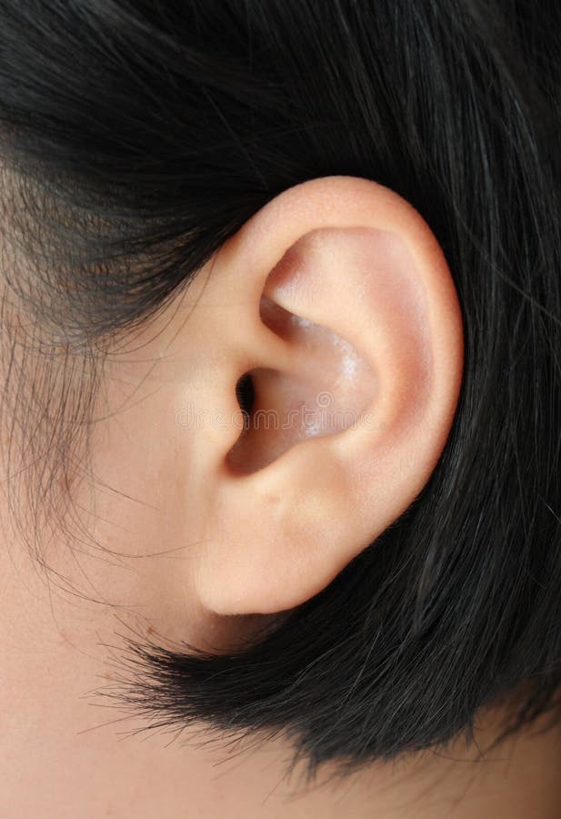 Human ear closeup stock image. Image of deaf, sensory - 58006865