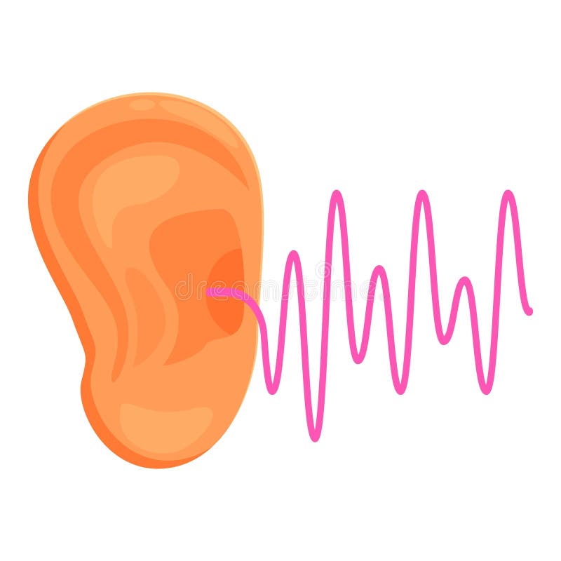 Human Ear Hearing Sound Wave Vibrating through Auditory Canal Stock ...
