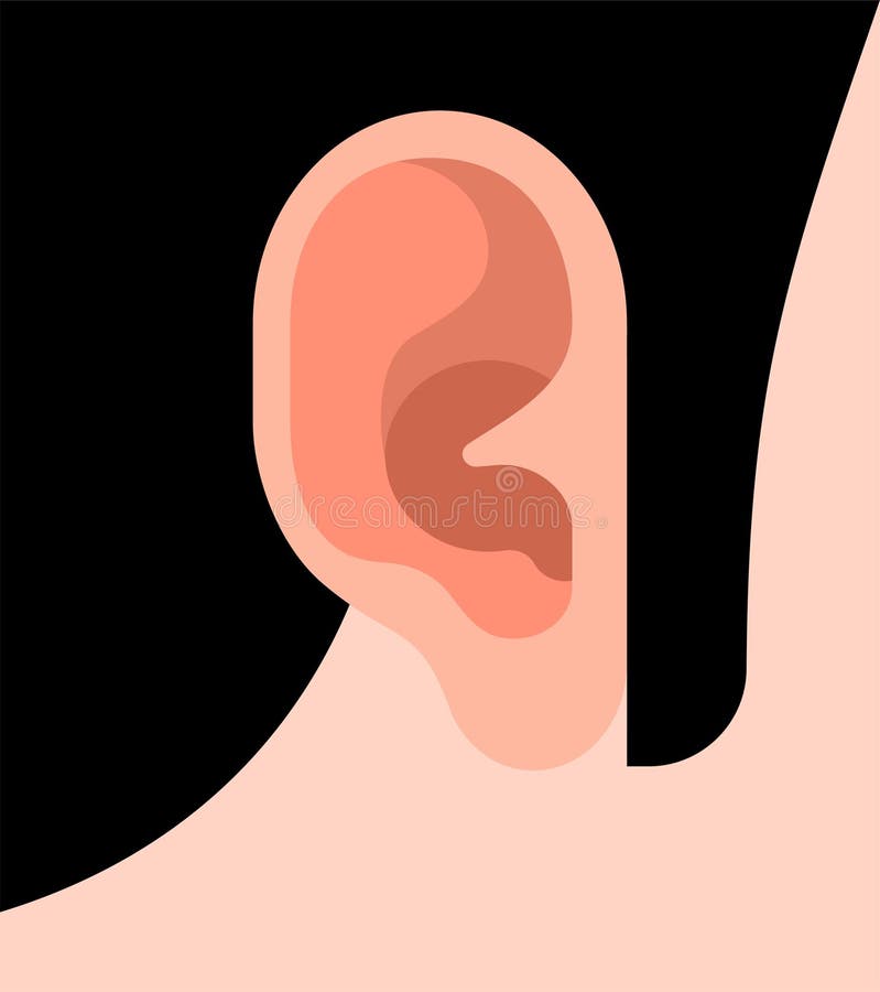 Human Ear Isolated. Body Part Symbol Stock Vector - Illustration of ...