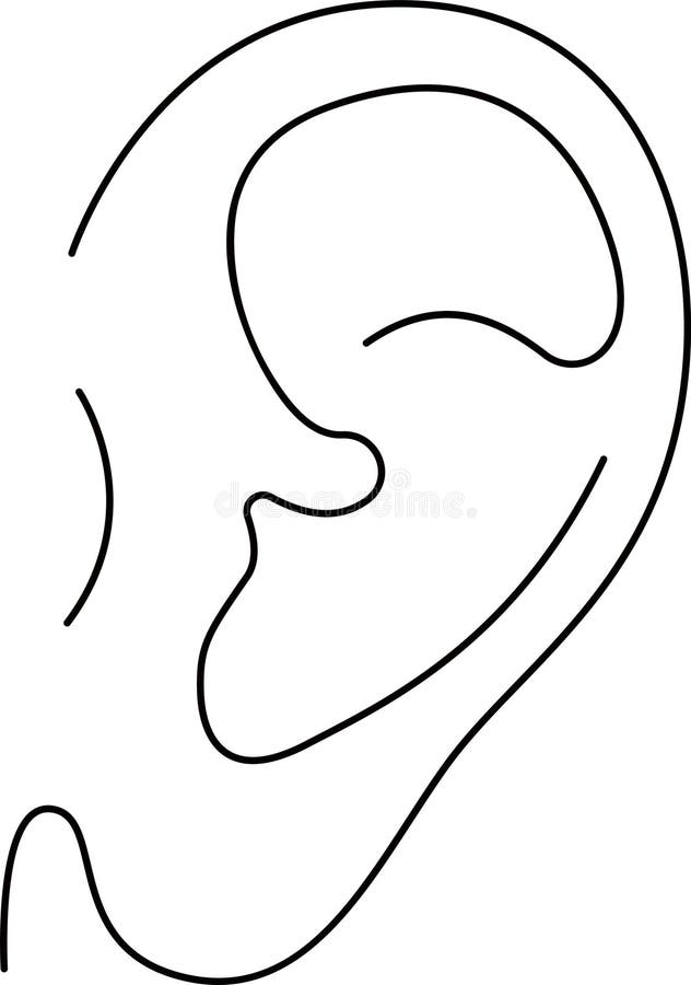 Human Ear Line Illustration Stock Vector - Illustration of line, organ ...
