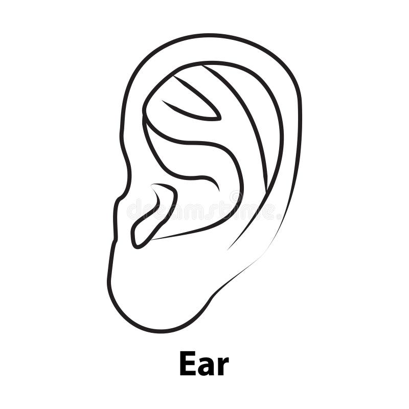 Drawing Human Ear Outline Stock Illustrations – 767 Drawing Human Ear ...