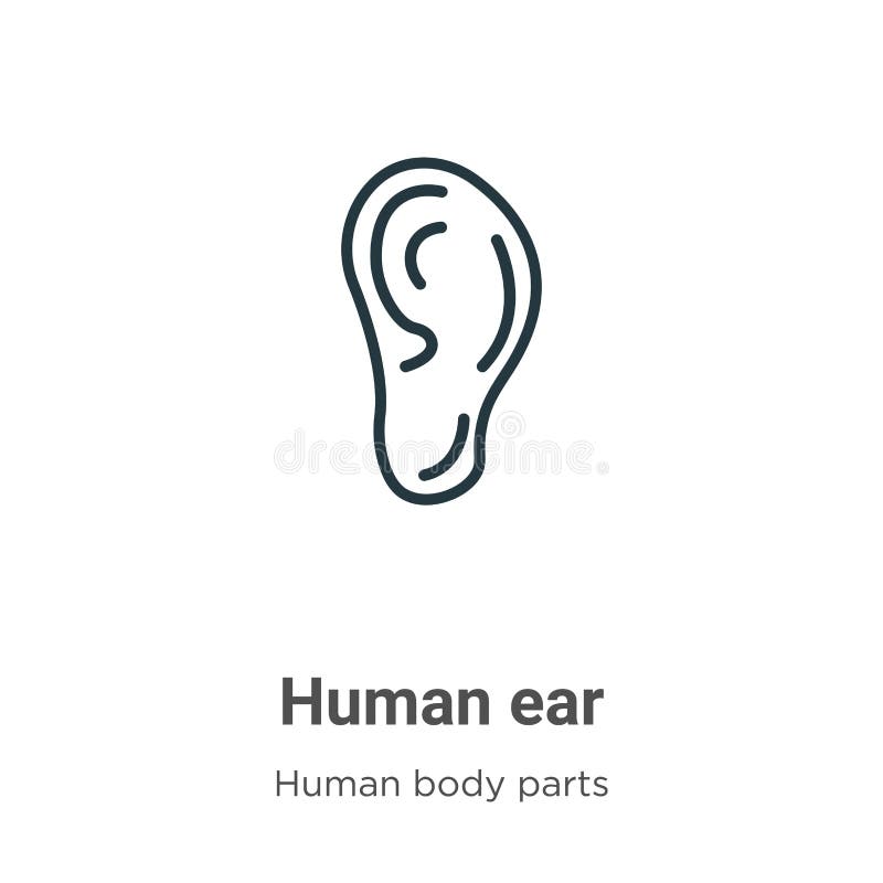 Human Ear Outline Vector Icon. Thin Line Black Human Ear Icon, Flat ...