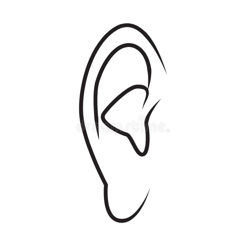 Human Ear Out Line. Vector. on White Background Stock Vector ...