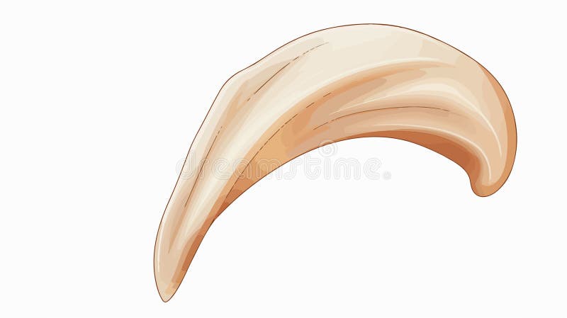 Human Ear Vector Illustration Stock Illustration - Illustration of ...