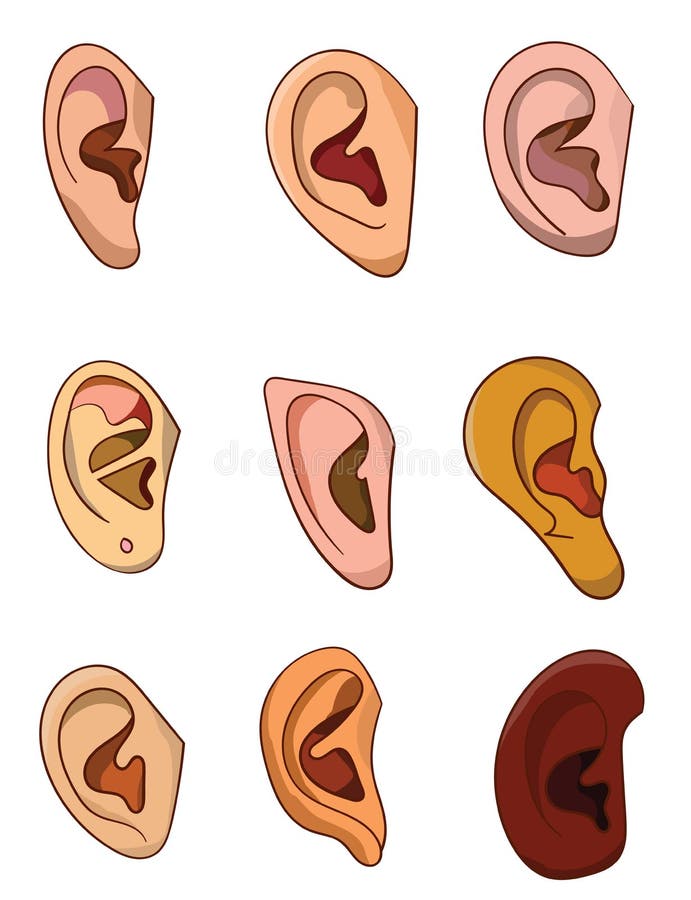 Human ears stock illustration. Illustration of hear - 139310480