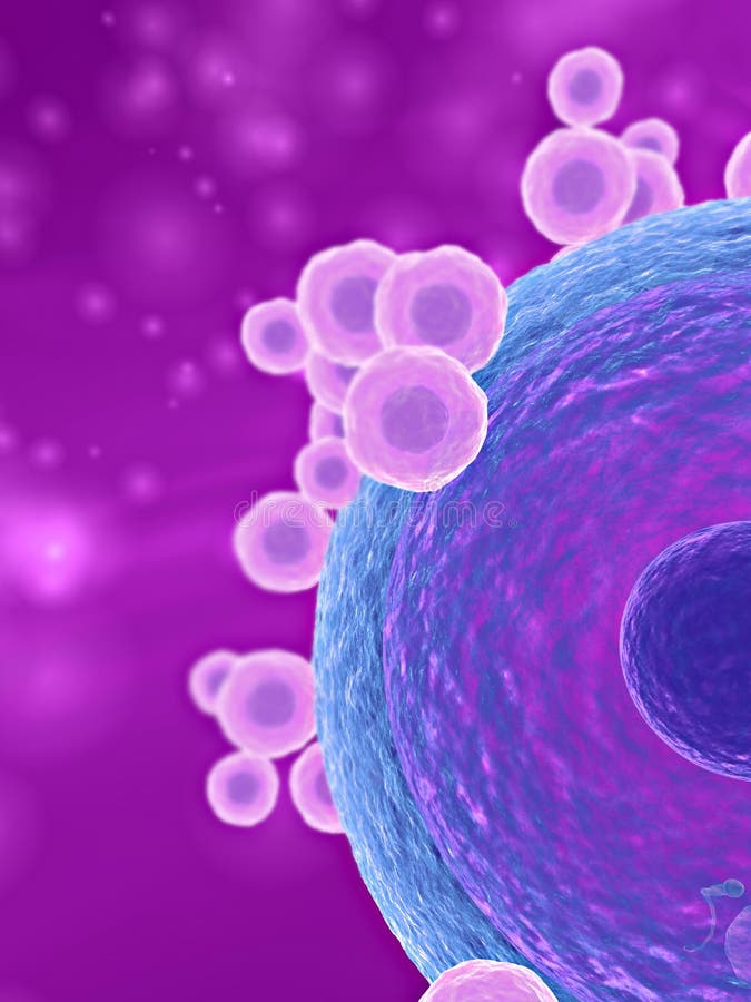 Human egg cell stock illustration. Illustration of science - 18584005