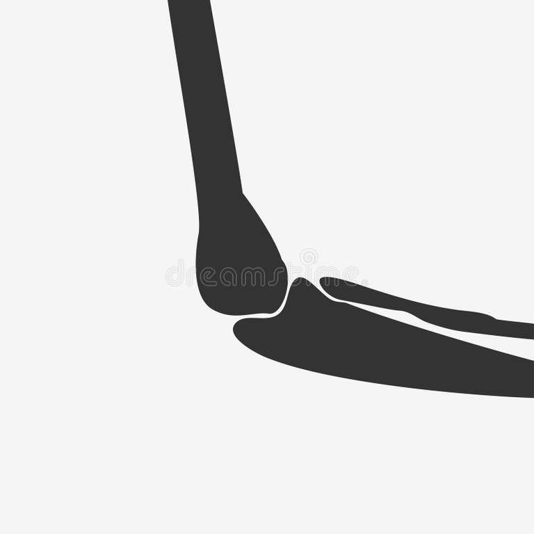 Human elbow joint stock vector. Illustration of outlined - 86079457
