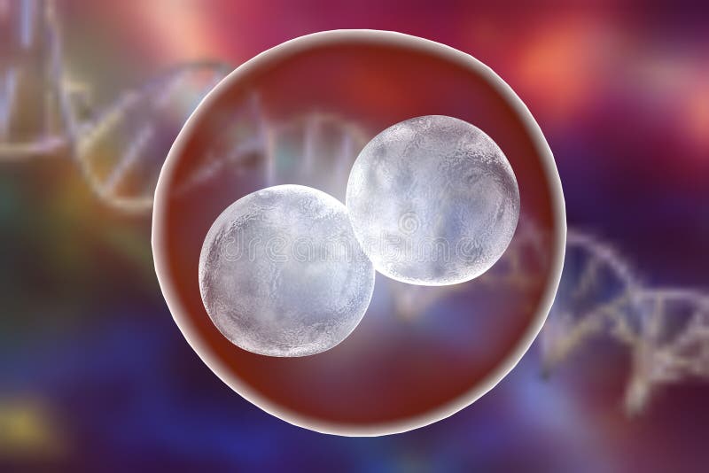 Human Embryo on Background with DNA Stock Illustration - Illustration ...