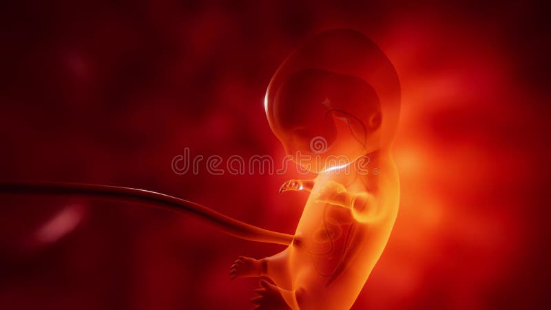 Embryo Development in Test Tubes Showcasing Early Life Stages in a ...