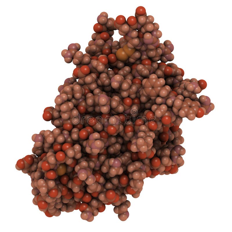 Human Erythropoietin (EPO) stock illustration. Illustration of atoms ...