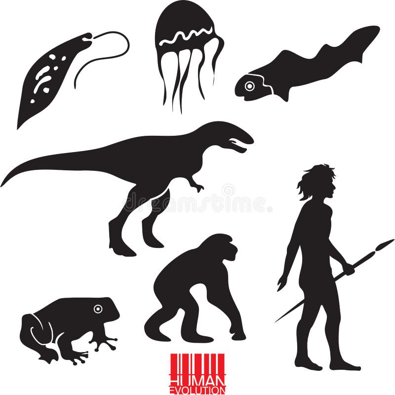 Human evolution stock vector. Illustration of amphibian - 25964822