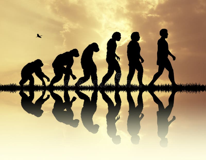 Human evolution stock illustration. Illustration of sapiens - 73874824