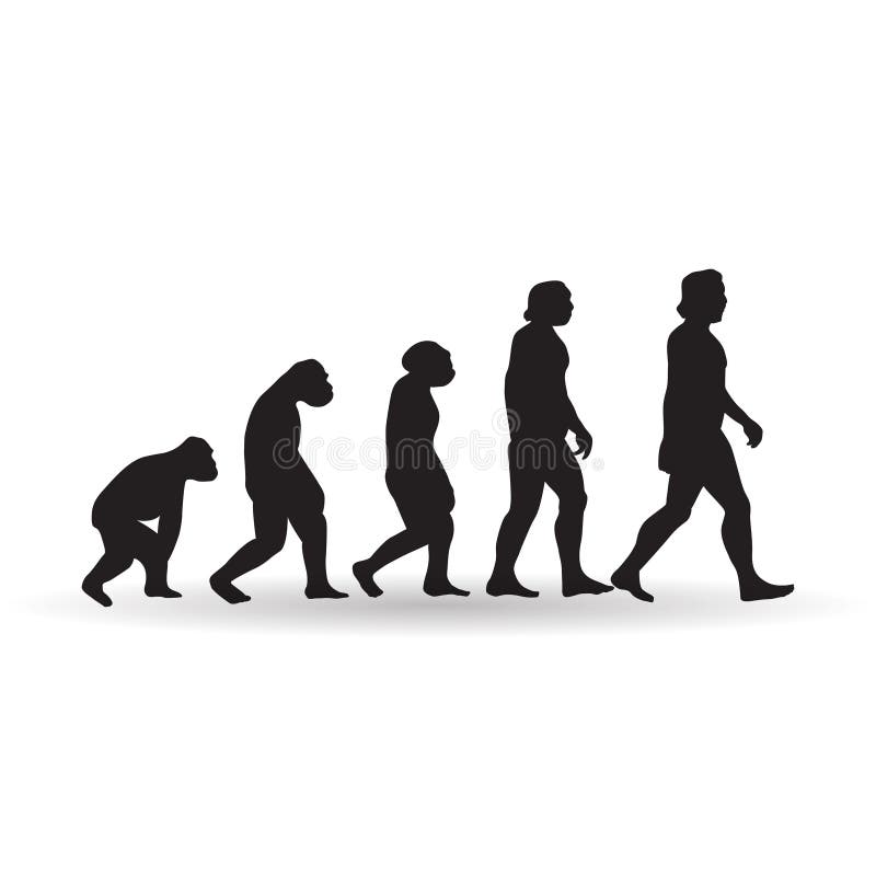 Human Evolution. Illustration Stock Illustration - Illustration of ...