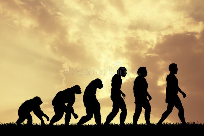 Human Evolution Stock Illustrations – 28,588 Human Evolution Stock ...