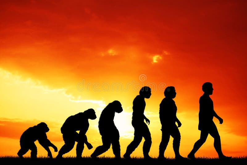 Human evolution stock illustration. Illustration of silhouette - 73875345
