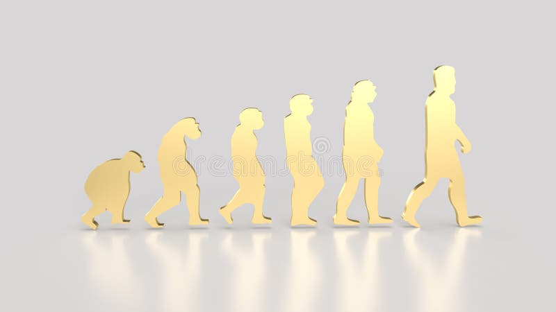 The Human Evolution Image for Education or Sci Concept 3d Rendering ...