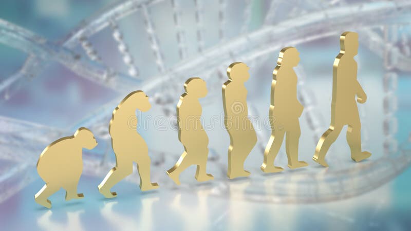 The Human Evolution Image for Education or Sci Concept 3d Rendering ...