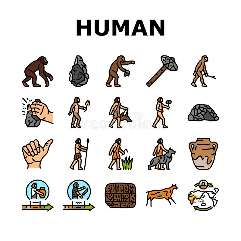 Human Evolution Man Caveman Icons Set Vector Stock Vector ...