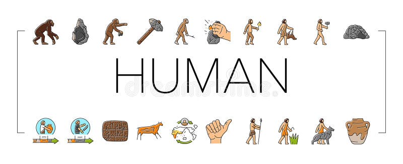 Human Evolution Man Caveman Icons Set Vector Stock Vector ...