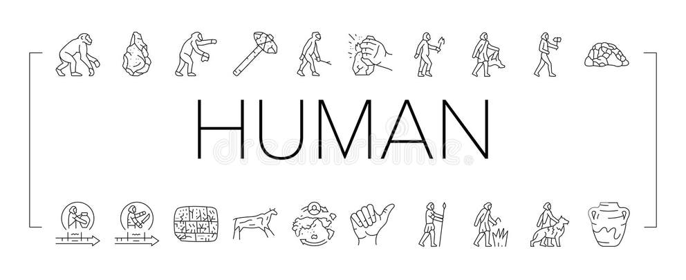 Human Evolution Man Caveman Icons Set Vector Stock Vector ...