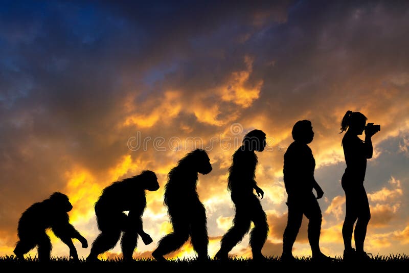 Human Evolution with Photographer Girl Stock Illustration ...