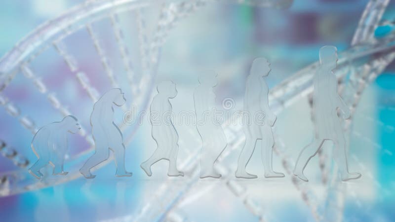 The Human Evolution on DNA Background 3d Rendering Stock Illustration ...