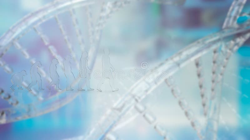 The Human Evolution on DNA Background 3d Rendering Stock Photo - Image ...