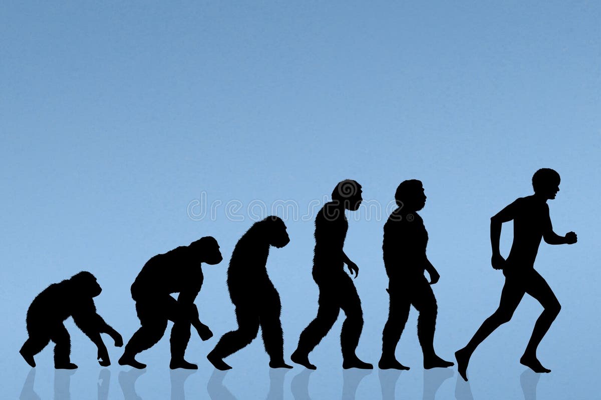 Evolution Running Stock Illustrations – 526 Evolution Running Stock ...