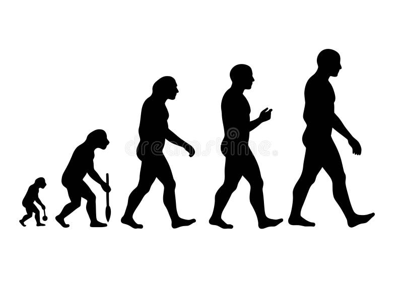 Human evolution silhouette stock vector. Illustration of transformation ...