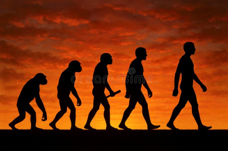 Human Evolution Silhouettes Sunset Background Stock Illustration ...