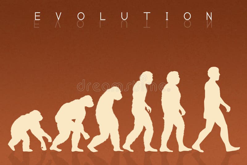Human evolution species stock illustration. Illustration of ...