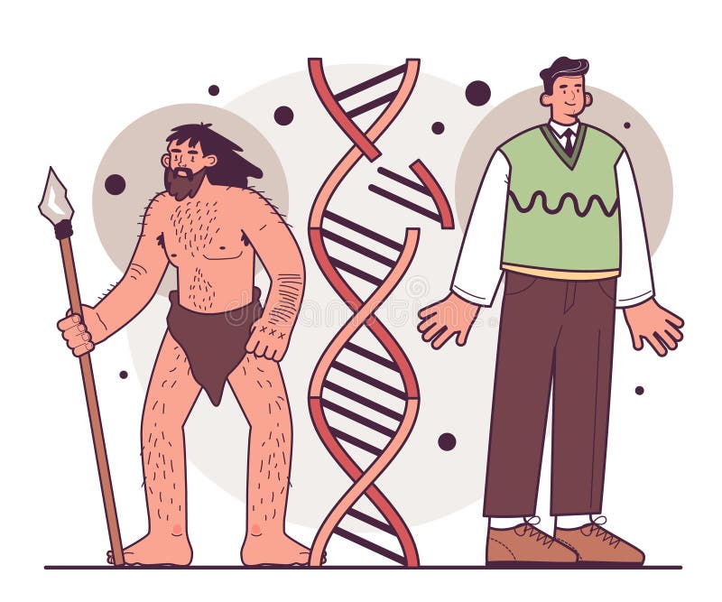 Human Evolution Stages. Evolutionary Development from Primate Stock ...
