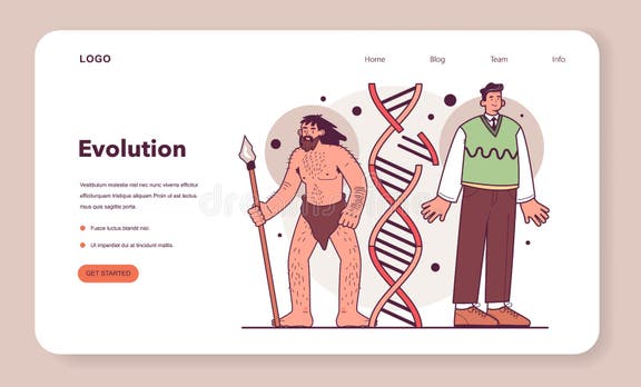 Human Evolution Stages. Evolutionary Development from Primate Stock Vector - Illustration of ...