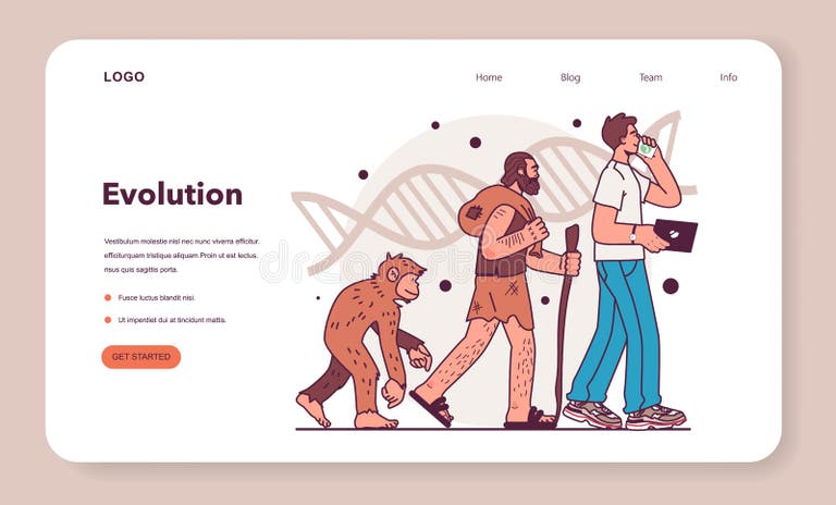 Human Evolution Stages. Evolutionary Development from Primate Stock ...