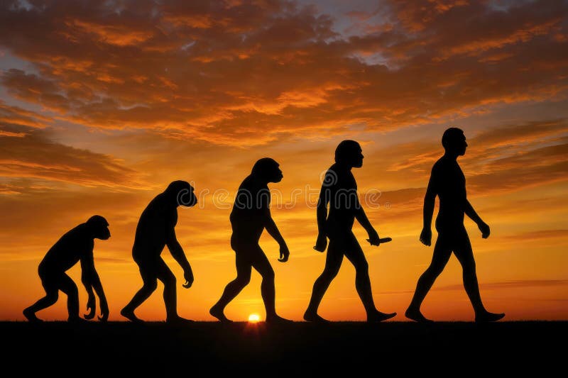 Human Evolution Sunset Silhouette Stages of Mankind Stock Illustration ...