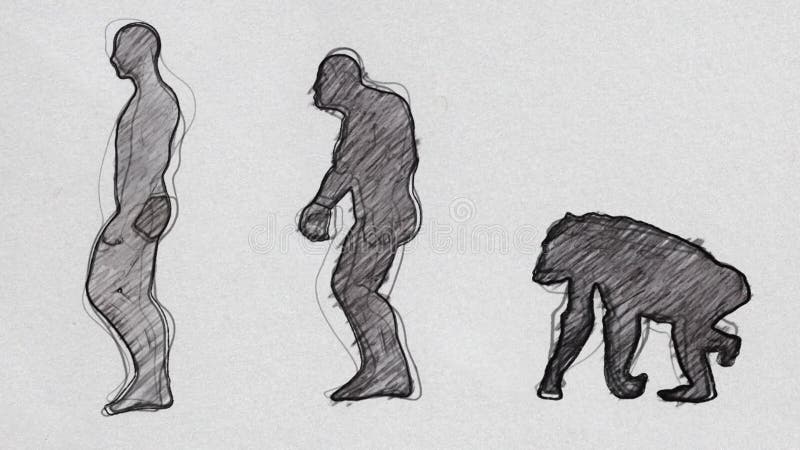 Human Evolution Timeline Walking in Pencil Sketch Seamless Loop Stock Footage - Video of looping ...