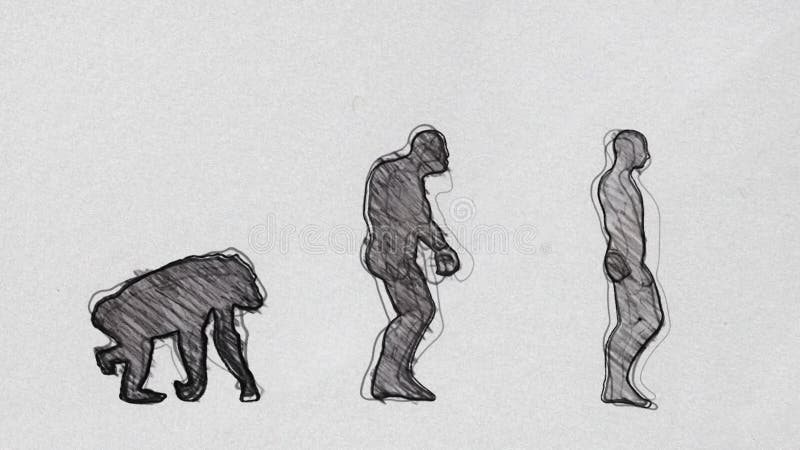 Human Evolution Timeline Painting Style Seamless Loop Stock Video ...