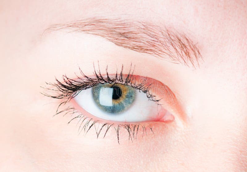 Human eye. stock photo. Image of human, closeup, expectation - 18181510