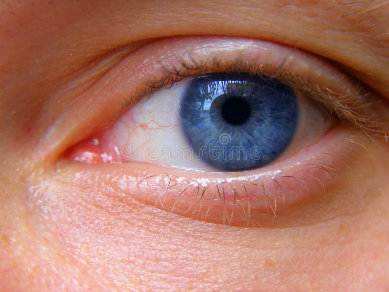 Human eye stock image. Image of cornea, eyelashes, creative - 2124413