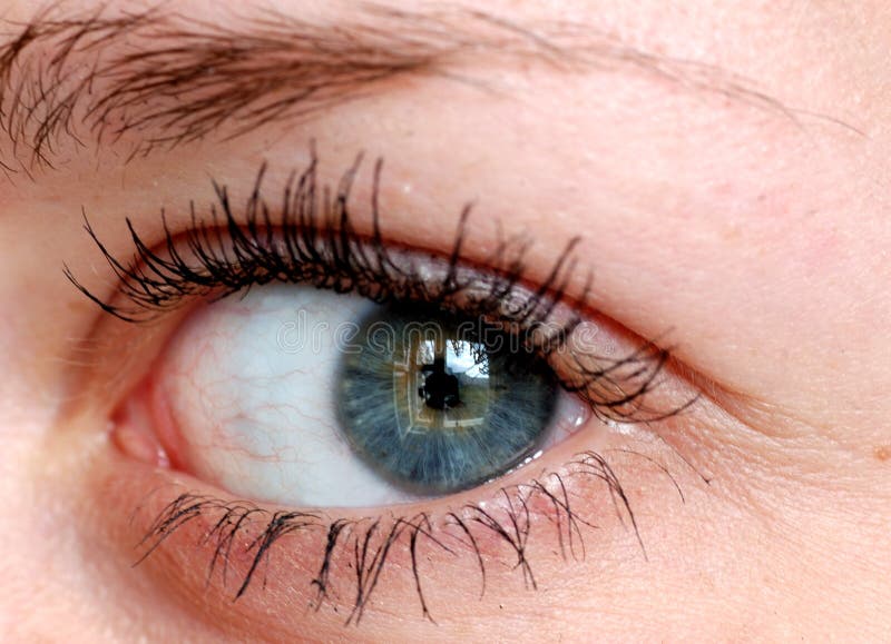 Human eye. stock image. Image of inspiration, macro, look - 3137477