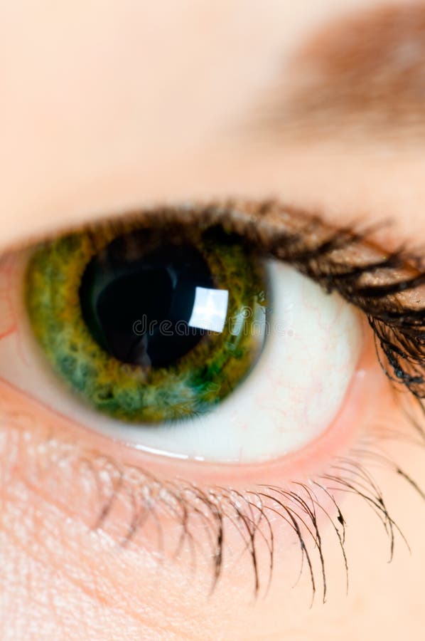 Eye stock image. Image of optical, eyelash, optic, clean - 21924017