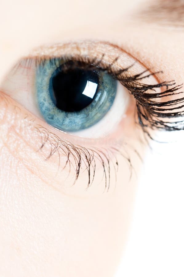 Eye stock image. Image of optical, natural, reflection - 3920839