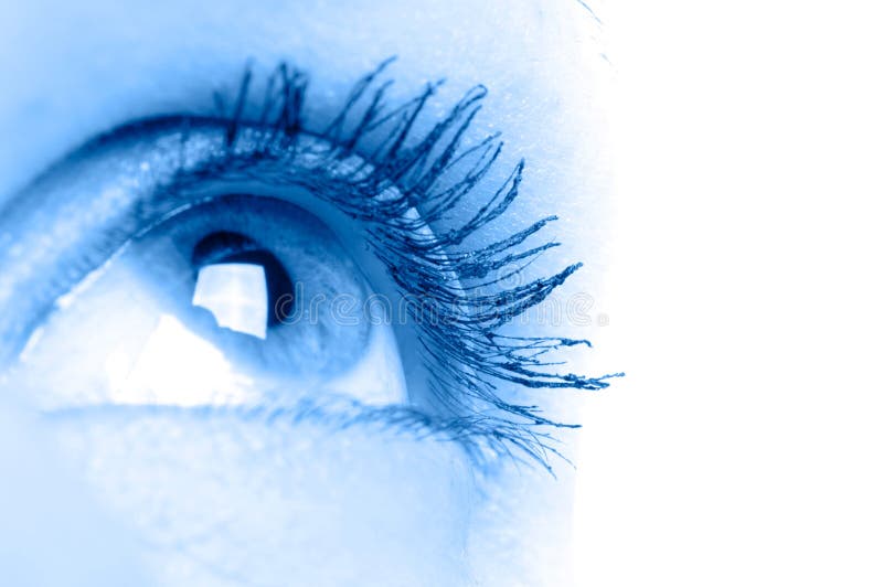 Human Eye stock image. Image of clarity, macro, optic - 6025143